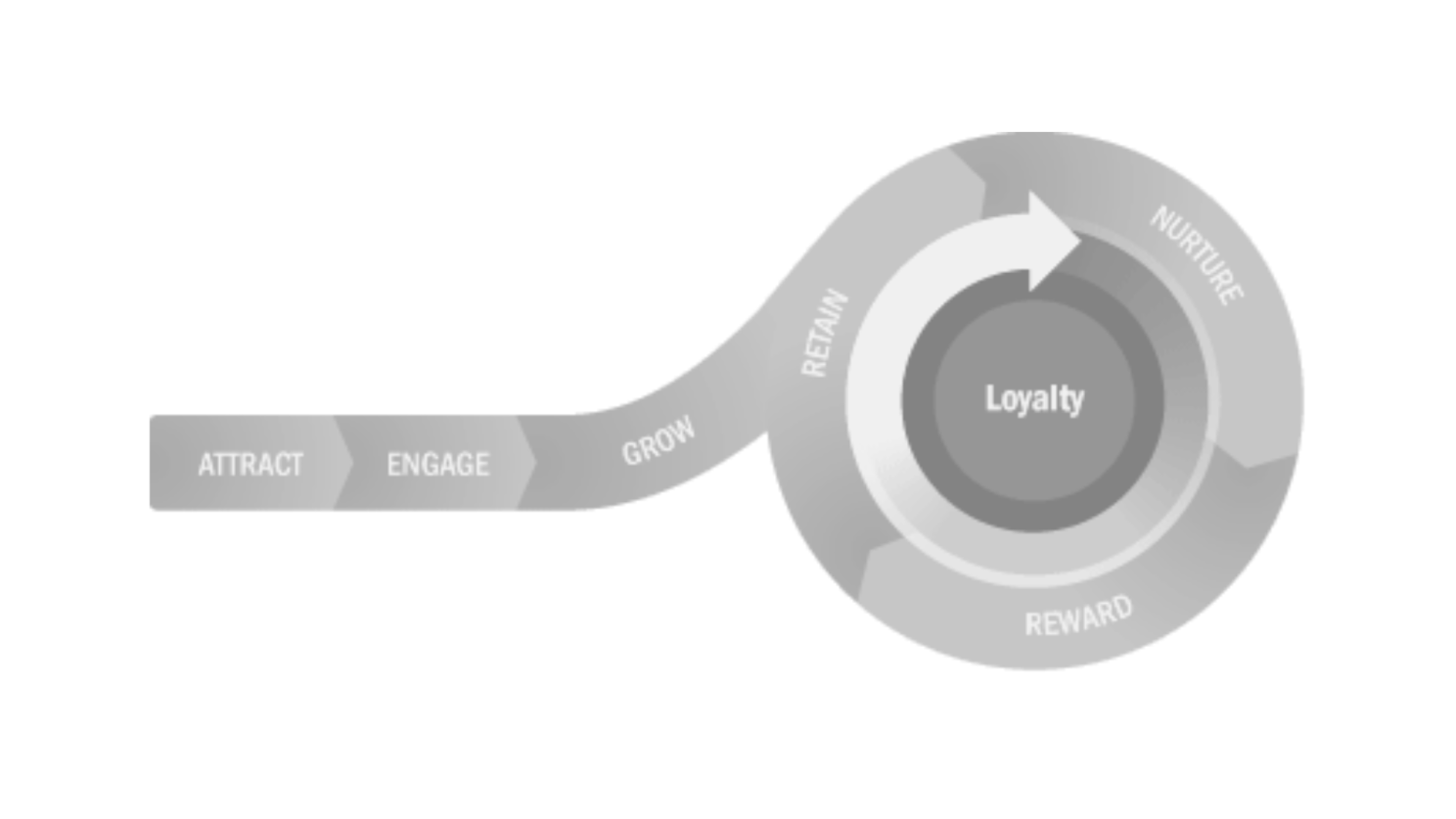 Lifecycle marketing foundations | Tortoise & Hare CX Agency